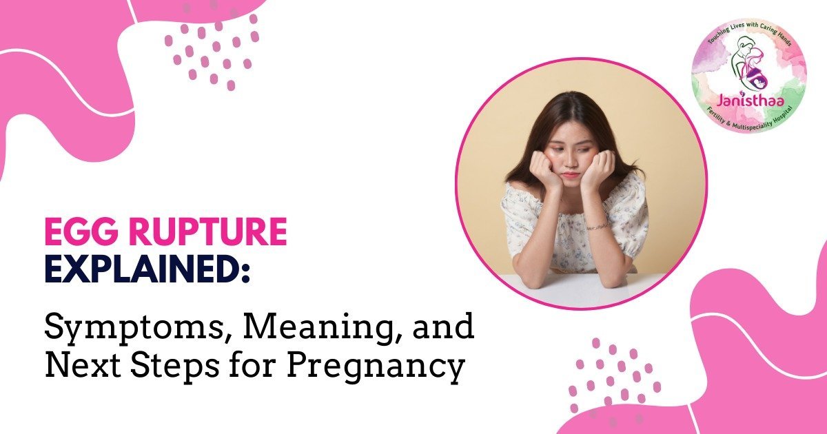 Egg Rupture: Symptoms, Meaning & Pregnancy Tips